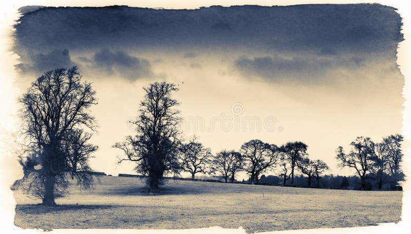 3,816 Creepy Field Stock Photos - Free & Royalty-Free Stock Photos from ...