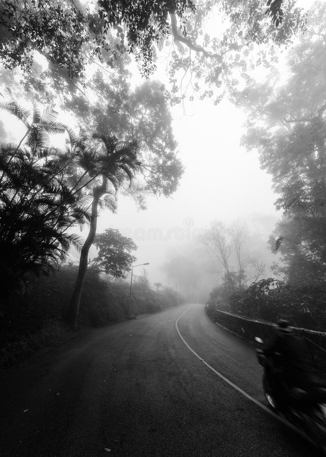 Creepy Foggy Road stock photo. Image of black, road, cloud - 28375476