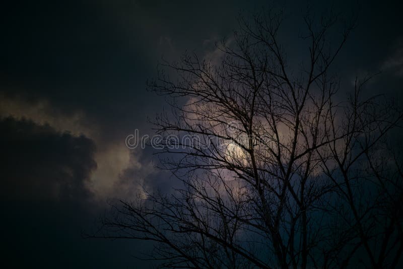 Bare Tree Against a Cloudy Full Moon Night Stock Photo - Image of full ...