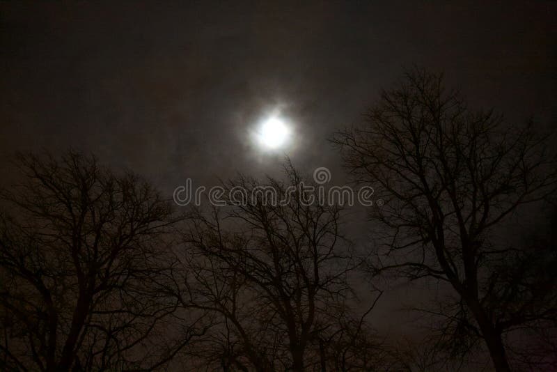 Creepy moon light at night stock photo. Image of dark - 197051894