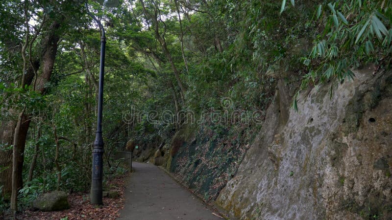 Eerie Empty Mountain Path with a Lamp Post 4k Stock Video - Video of ...