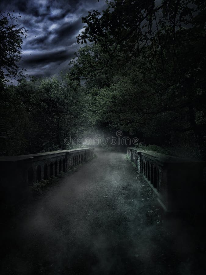 Path in a Park stock photo. Image of walk, night, mystic - 29701386