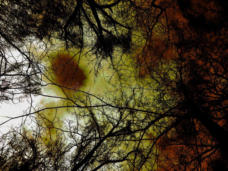 Creepy stock photo. Image of scary, strange, creepy - 140070752