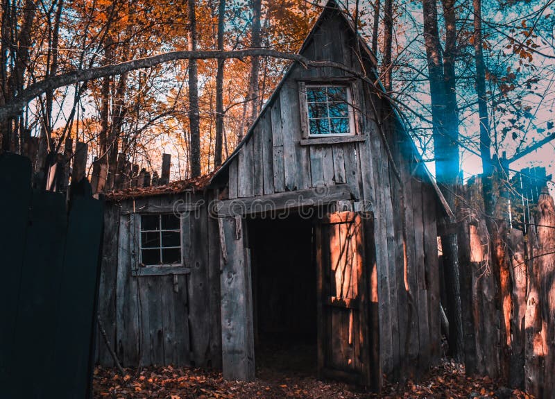 Creepy Shack stock image. Image of forest, woods, haunted - 252999629