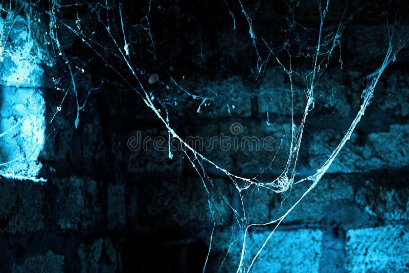 A Creepy Spider Web Hanging from the Ceiling of an Old Abandoned House ...