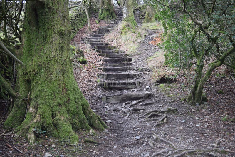 Creepy Stairs stock image. Image of mysterious, scary - 67657673