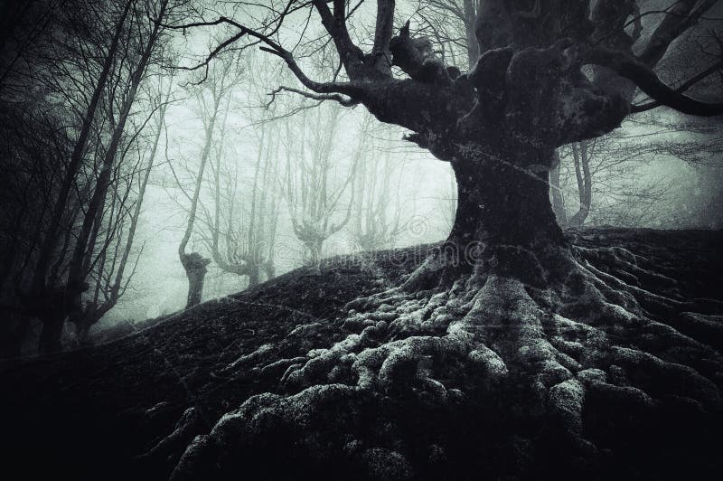 Dark Creepy Tree