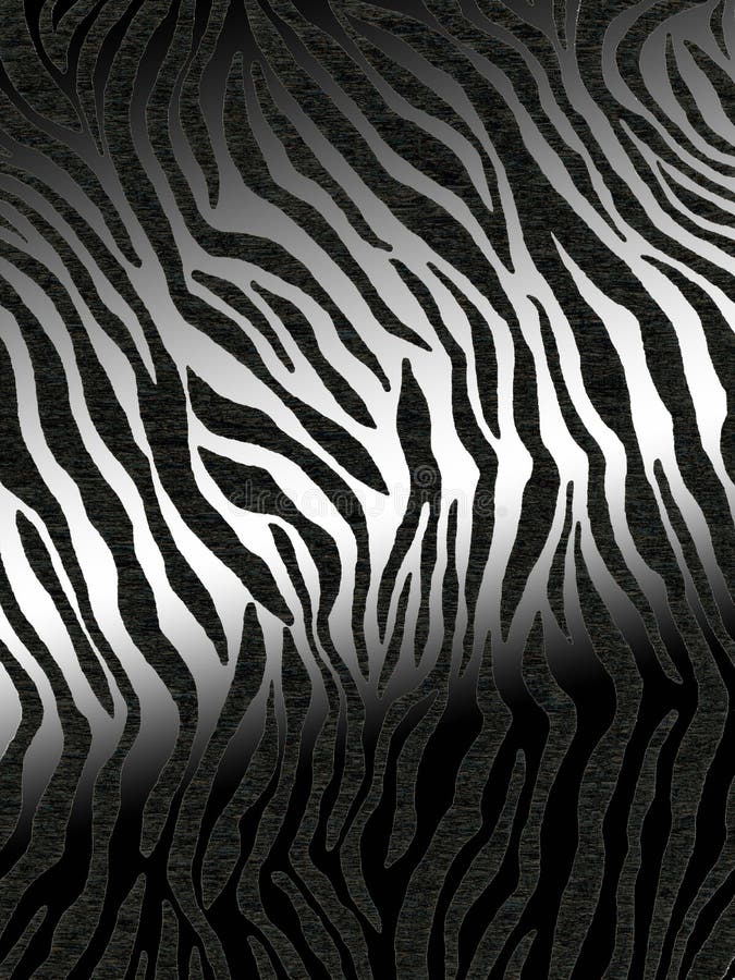 Zebra Wallpaper Tumblr