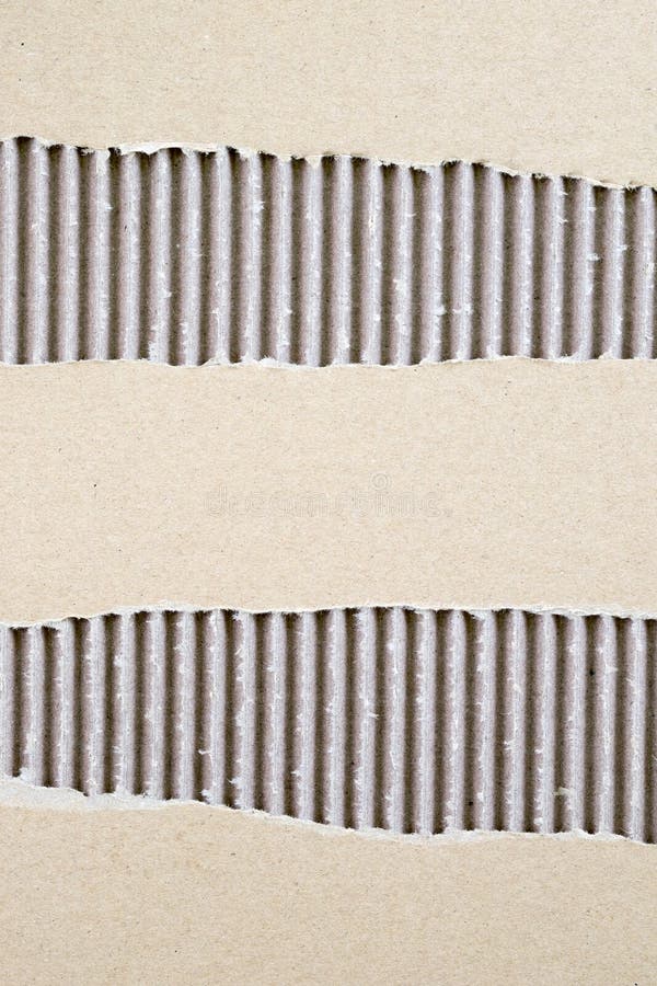 819 Thorn Paper Stock Photos - Free & Royalty-Free Stock Photos from ...