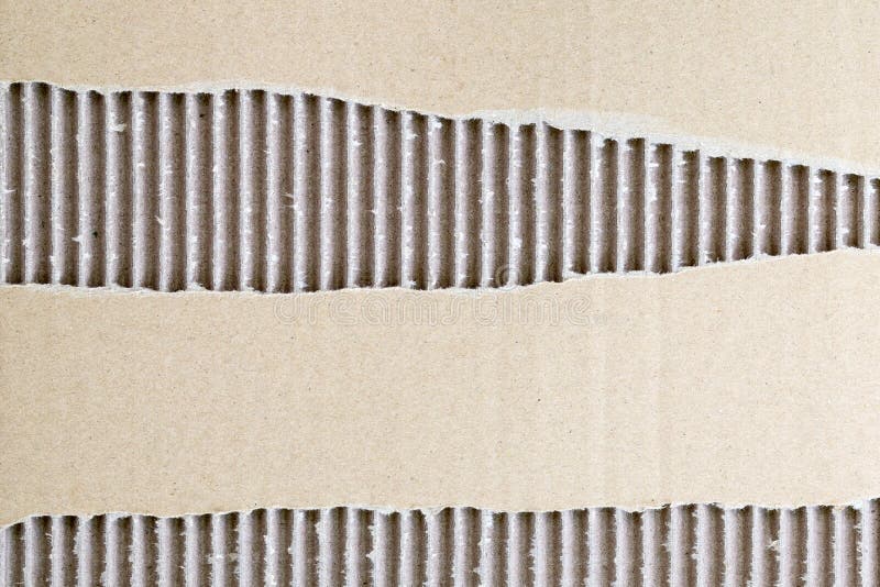 819 Thorn Paper Stock Photos - Free & Royalty-Free Stock Photos from ...