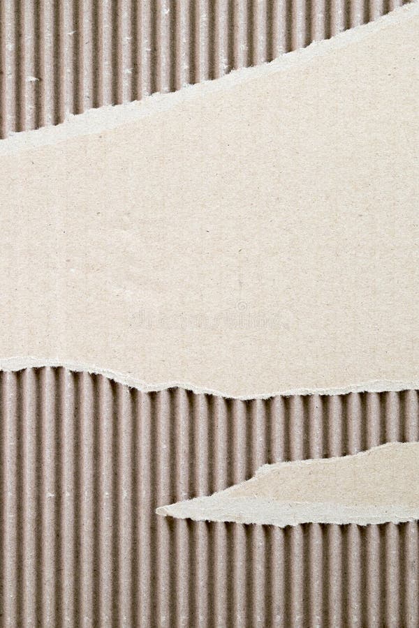 800 Paper Thorn Stock Photos - Free & Royalty-Free Stock Photos from ...