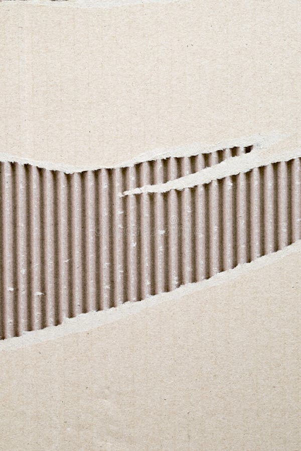 800 Paper Thorn Stock Photos - Free & Royalty-Free Stock Photos from ...