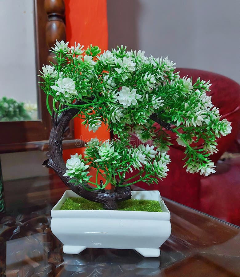 Crescent flower plant stock photo. Image of flower, branch - 207218552