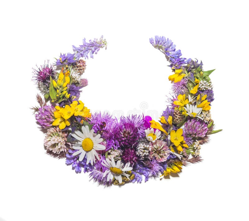 Crescent of Flowers on a White Background Stock Image - Image of bunch ...