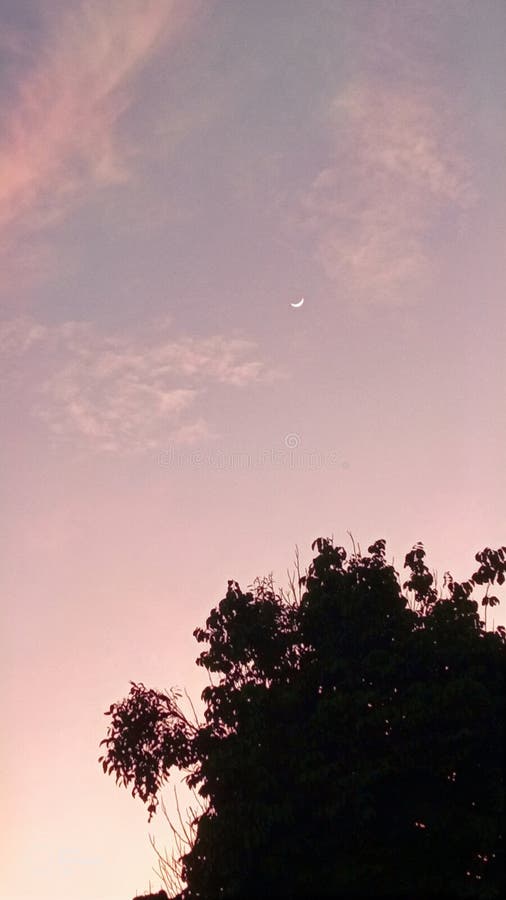 Crescent Moon in the Morning Sky Stock Photo - Image of tree, sunset ...