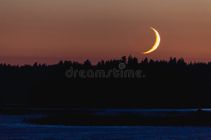 Crescent Moon Setting Behind Forest Stock Image - Image of landscape ...