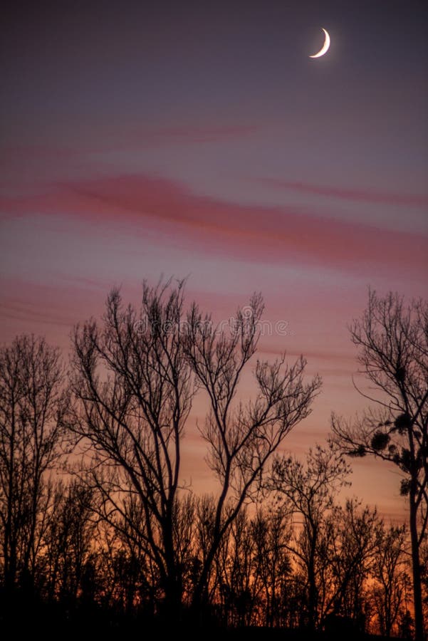 Crescent moon in autumn stock image. Image of mistle - 202486587