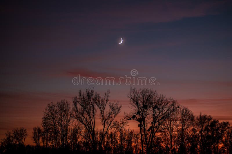 Crescent moon in autumn stock photo. Image of dusk, outdoors - 202486536