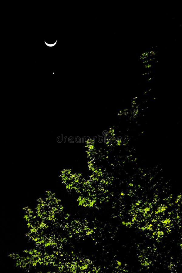 412 Crescent Moon Spooky Stock Photos - Free & Royalty-Free Stock ...