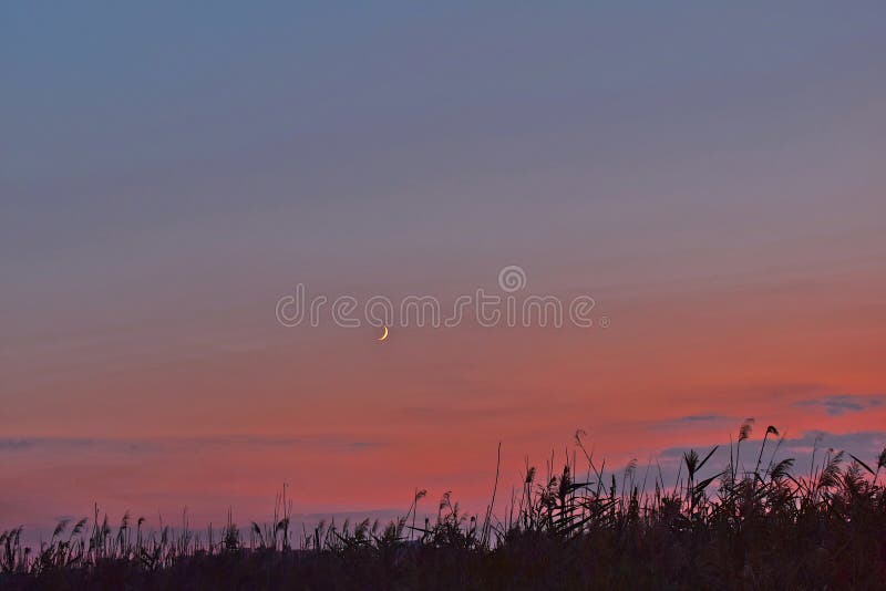The Crescent of the New Moon Against the Background of the Evening Sky ...