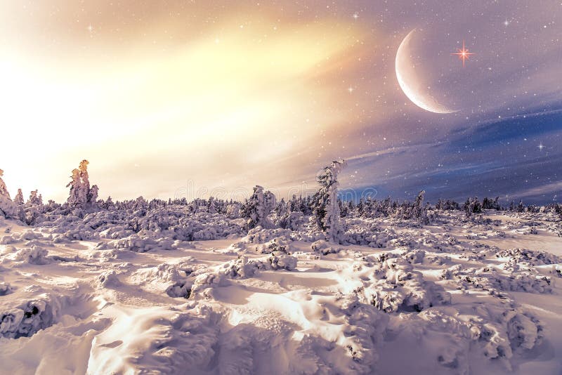 Crescent in the Snow Forest in Winter Stock Photo - Image of country ...