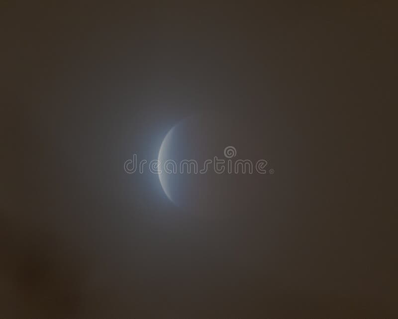 Crescentic Stock Illustrations – 29 Crescentic Stock Illustrations ...