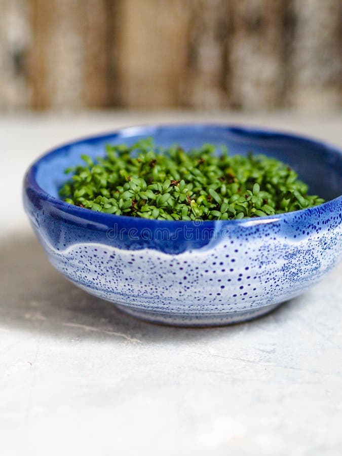 Cresson De Jardin Dans Le Plateau Sur Le Blanc Photo stock - Image du ...
