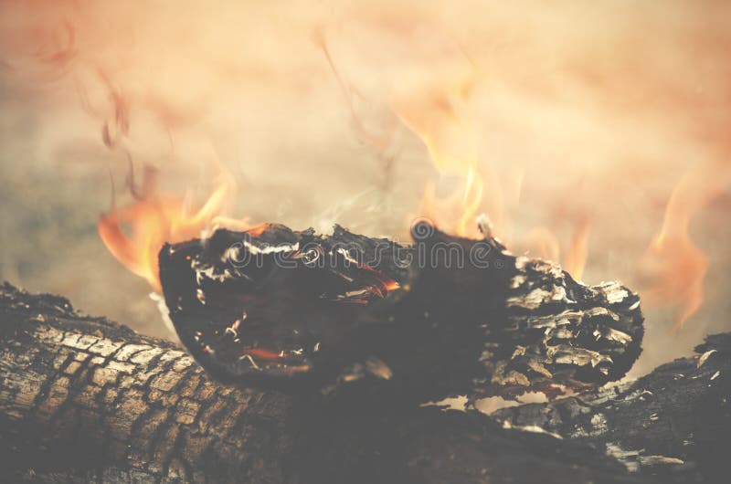 605 Fire Crest Photos - Free & Royalty-Free Stock Photos from Dreamstime