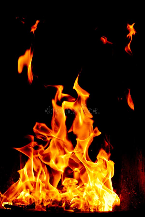 Crest of Flame on Burning Wood in Fireplace Stock Image - Image of ...