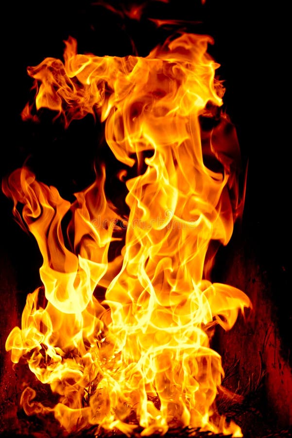 Crest of Flame on Burning Wood in Fireplace. Stock Photo - Image of ...