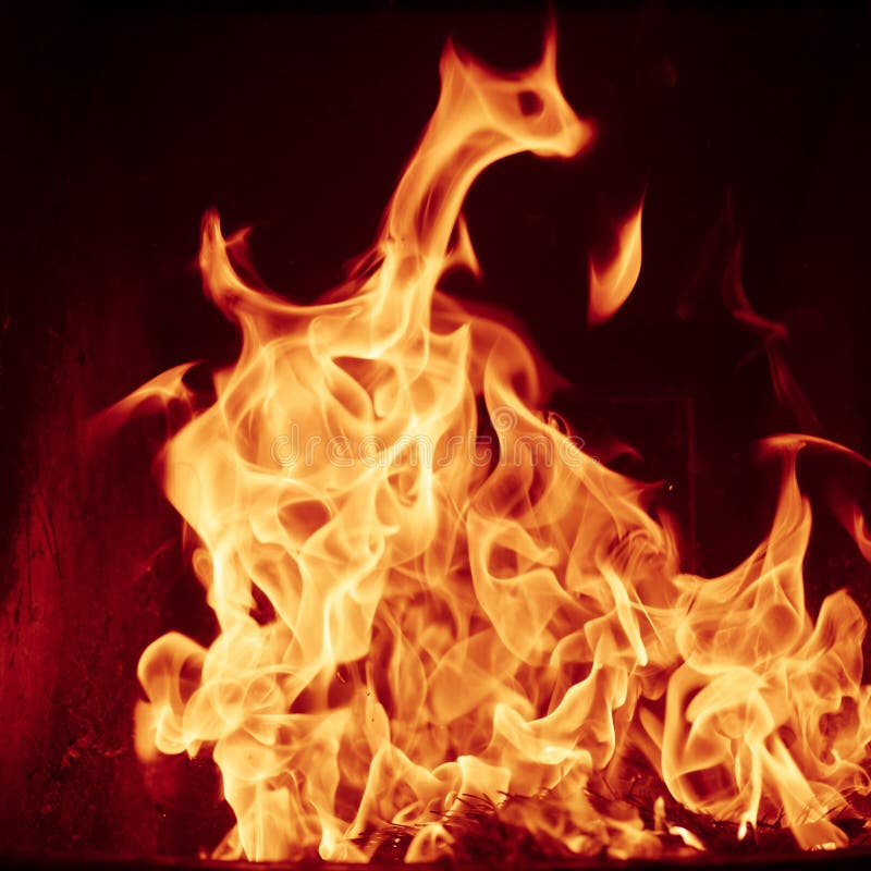 Crest of Flame on Burning Wood in Fireplace. Stock Photo - Image of ...