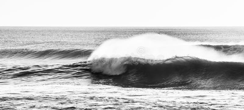 On the crest of a wave stock photo. Image of wind, white - 50961276