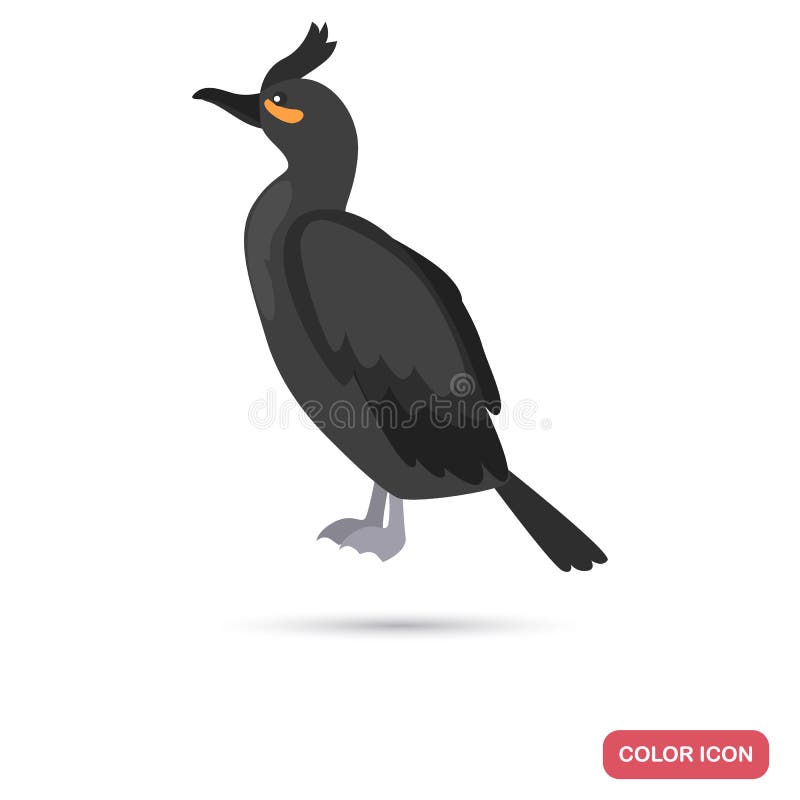 Cormorant Stock Illustrations – 398 Cormorant Stock Illustrations ...
