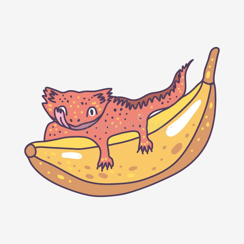 Crested Gecko Stock Illustrations – 249 Crested Gecko Stock ...