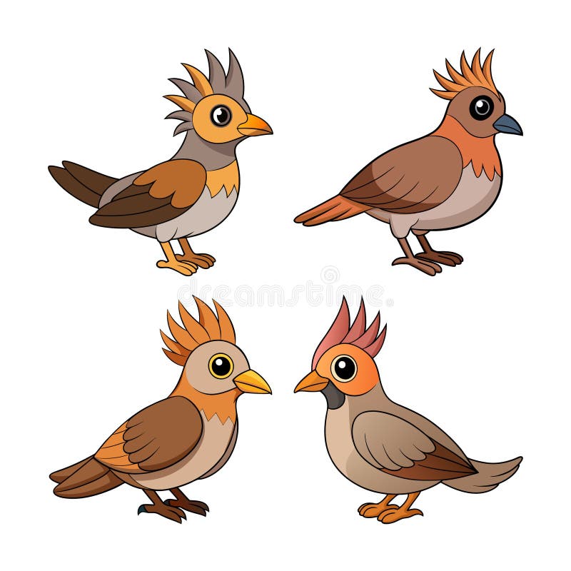 Crested Lark Bird Realistic Illustration Stock Vector - Illustration of ...