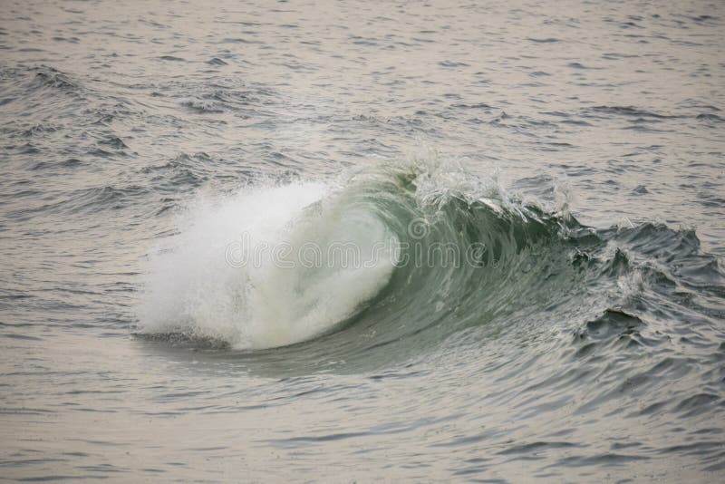 Cresting, Curling Ocean Wave with Spray Stock Photo - Image of beach ...