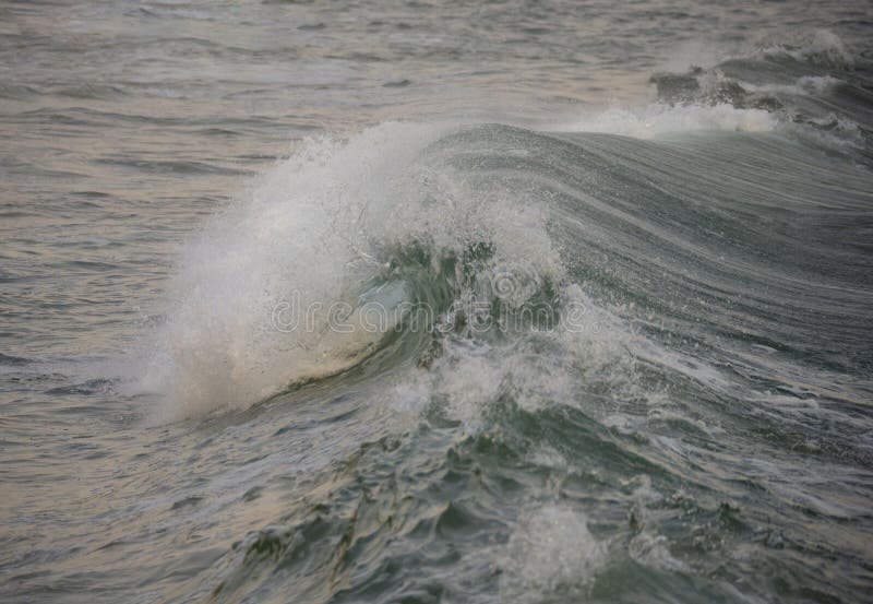Cresting, Curling Ocean Wave with Spray Stock Photo - Image of breaking ...