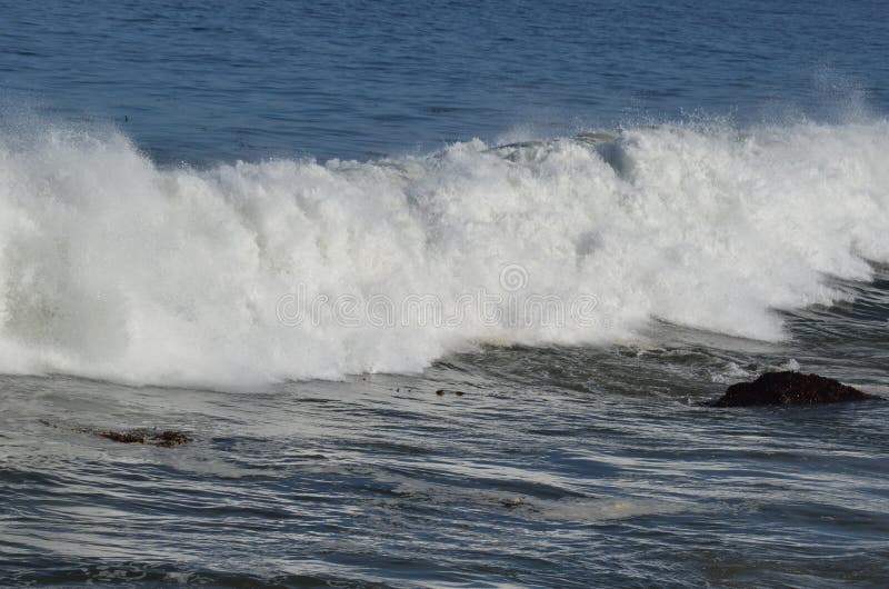 Cresting Wave on a Tropical Ocean Stock Photo - Image of coast, nature ...