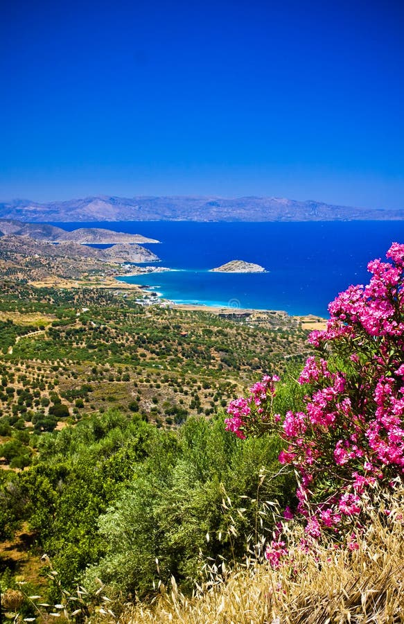 Crete stock photo. Image of destination, flowers, mediterranean - 48531896