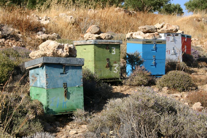 Crete / Beekeeping stock photo. Image of journey, multicolored - 140888