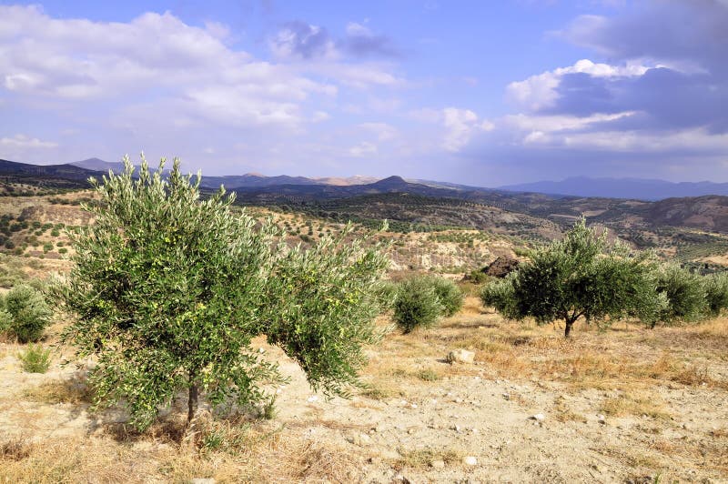 Crete, Greek Island stock photo. Image of island, holiday - 27412342