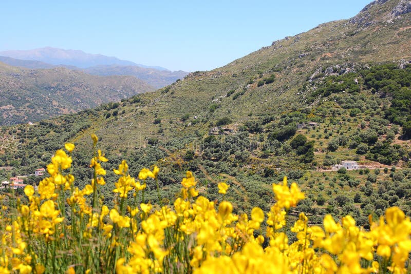 Crete landscape stock photo. Image of grove, greek, town - 52517916