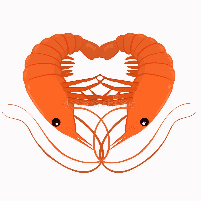 Red Atlantic Shrimp Laid Out in the Shape of a Heart. Stock Vector ...