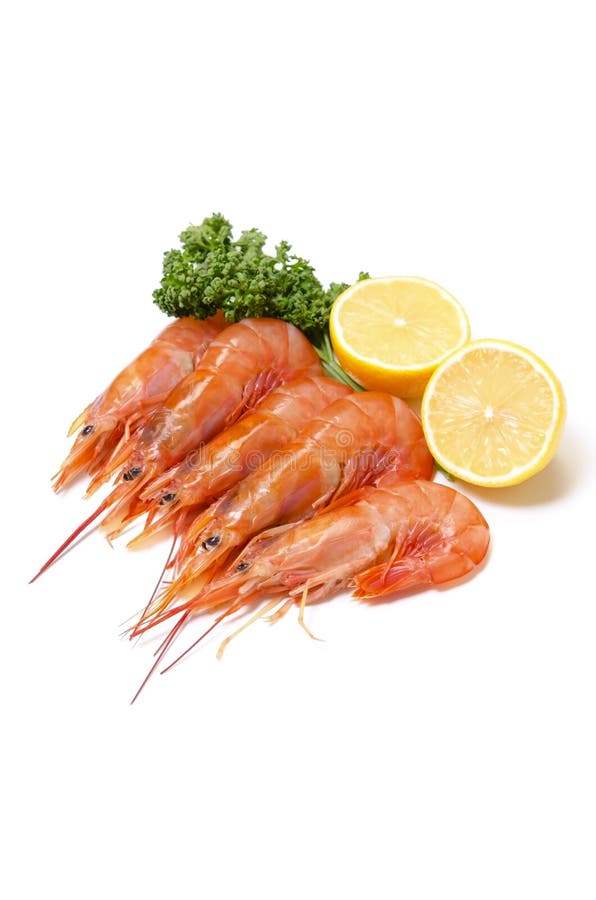 Crevette De Rouge De L'Argentine Image stock - Image du langoustine ...