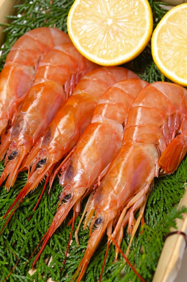 Crevette De Rouge De L'Argentine Image stock - Image du rouge, régime ...