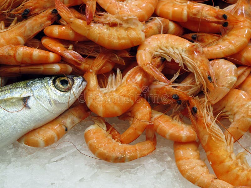 Crabe D'insectes De Poissons De Crevettes Image stock - Image du ...