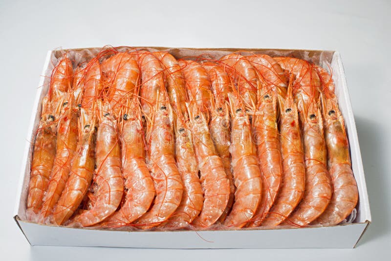 Crevette avec la pince photo stock. Image du bouilli - 48332312