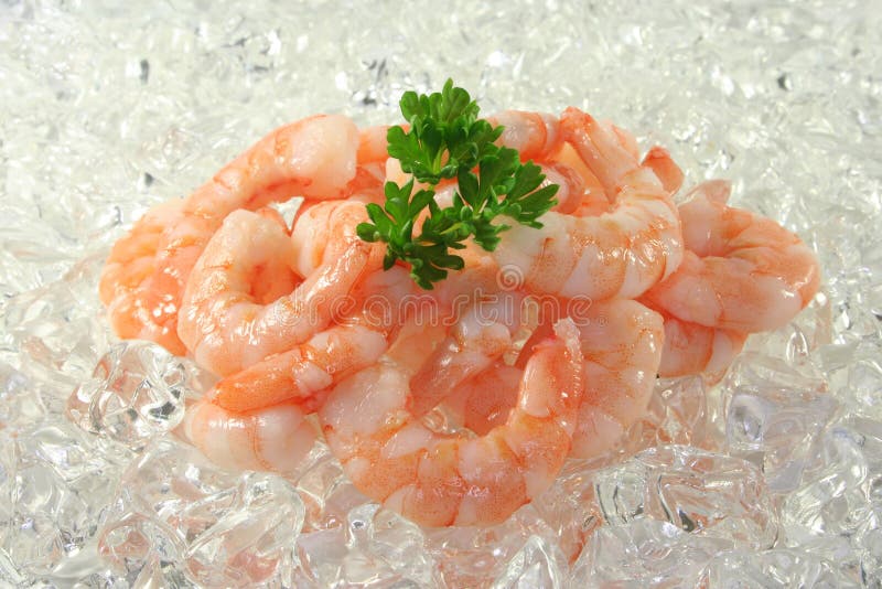 Crevettes Image. Image: 14156997