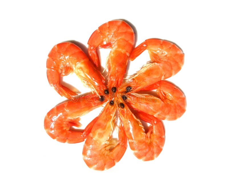 Crevettes roses image stock. Image du déjeuner, coquillages - 2746901