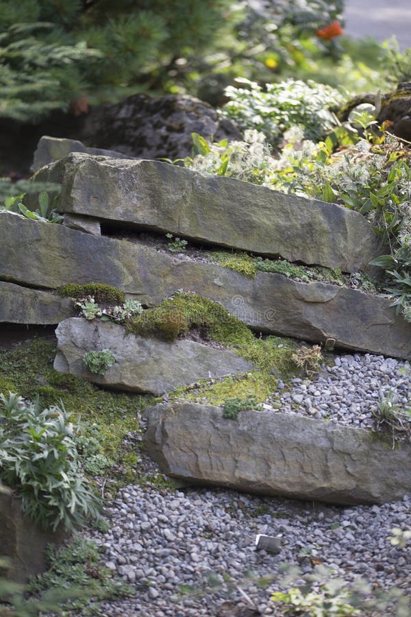 Crevice Garden stock image. Image of stone, plant, nature - 57719031